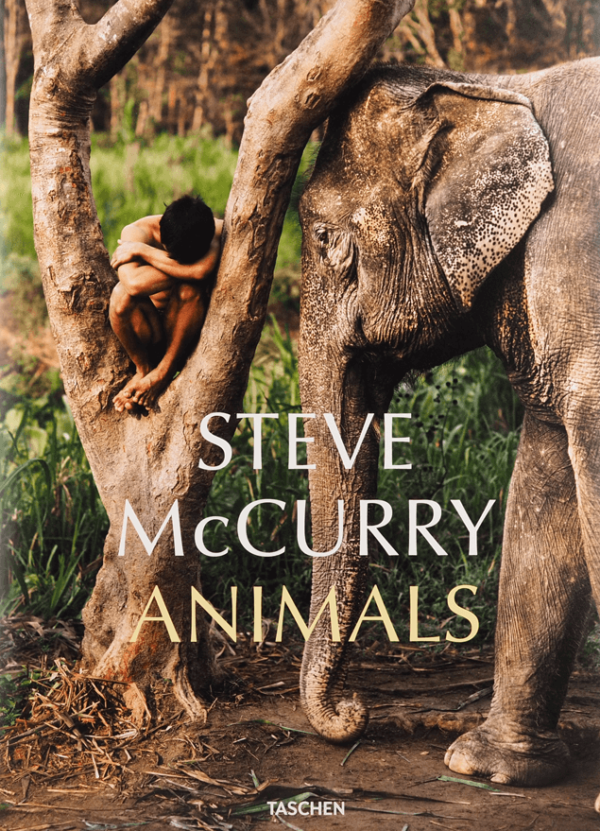 РОСФОТО Steve Mccurry. Animals